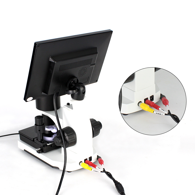 Nailfold microcirculation blood capillary test microscope machine ...